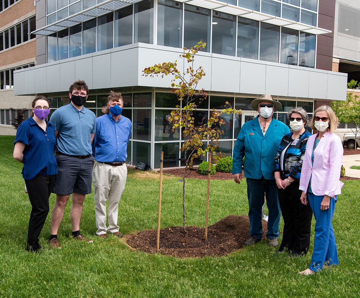 Special redbud tree honors Dr. Shadowen – Med Center Health
